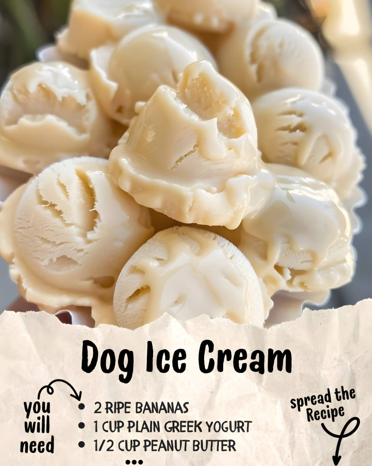 Homemade Dog Ice Cream Recipe – Best Recipes