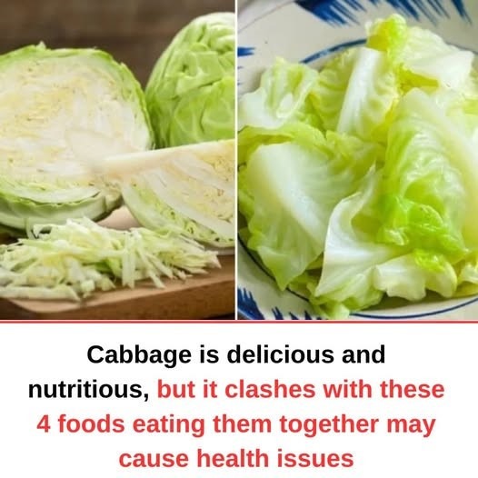 The Health Benefits of Cabbage and Foods to Avoid with It – Best Recipes
